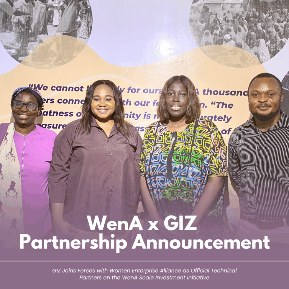 WenA x GIZ: Powering the WenA SCALE Investment Program | WenA Blog